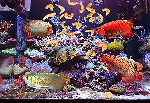 Hikari Usa Tropical Fancy Guppy for Pet Health, Fish Food 1.54oz (2 PACK)