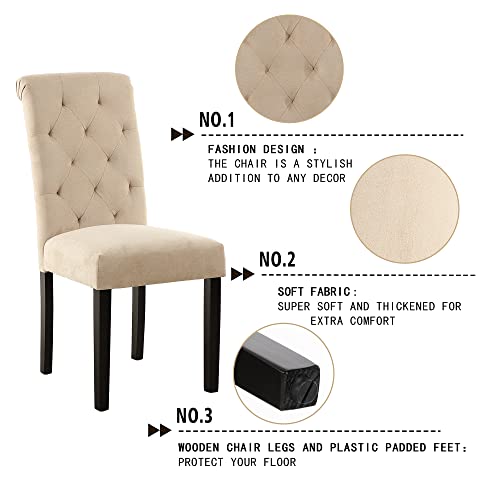 LSSBOUGHT Stylish Dining Room Chairs with Solid Wood Legs, Set of 2 (Beige)