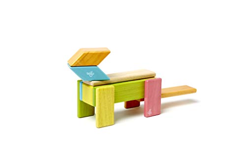 Tegu 14 Piece Magnetic Wooden Block Set in Tints