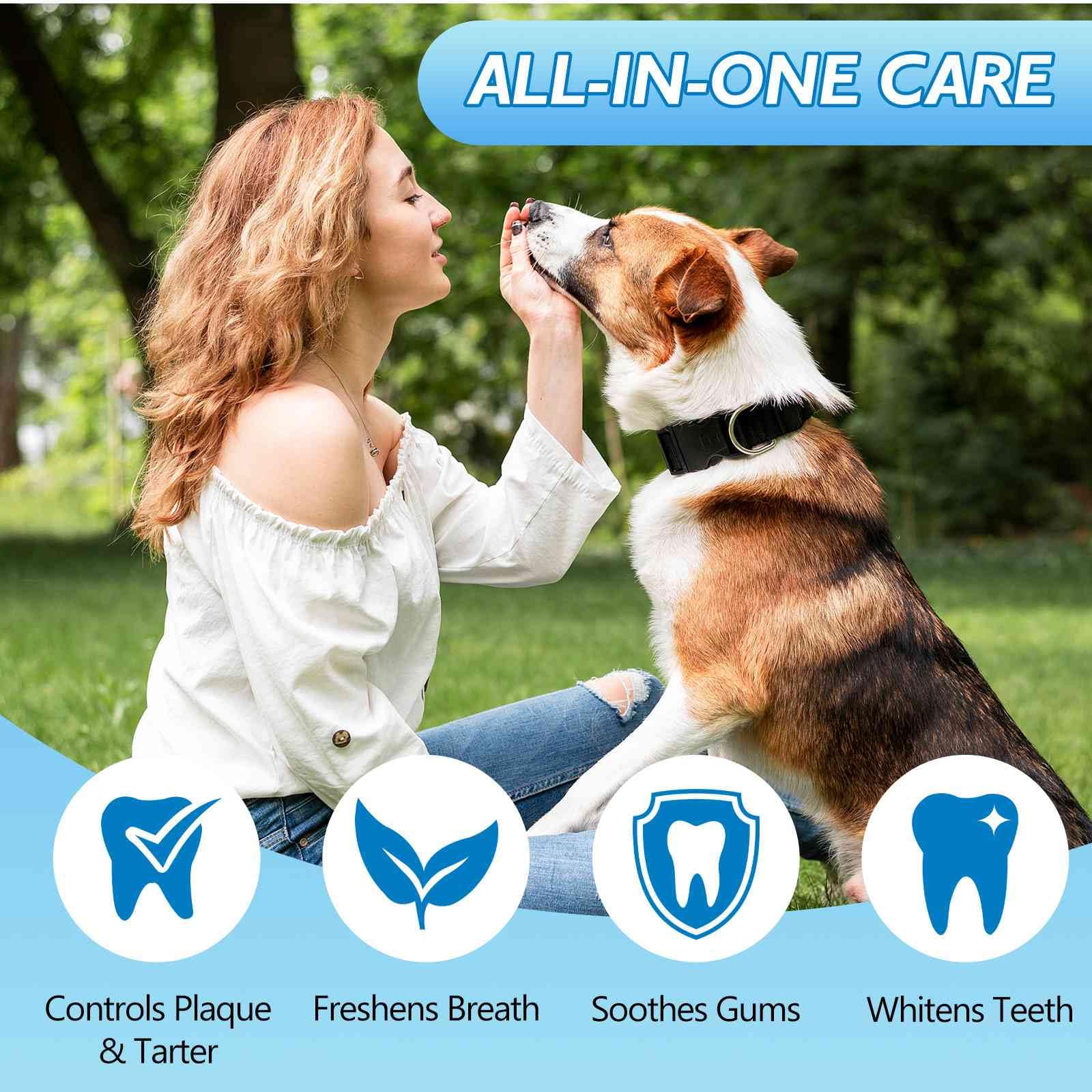 Best Dog Toothbrush & Toothpaste Kit for Dachshund and Other Hound Dogs Dogs - Natural Ingredients Reduce Plaque, Whiten Teeth, Freshen Breath