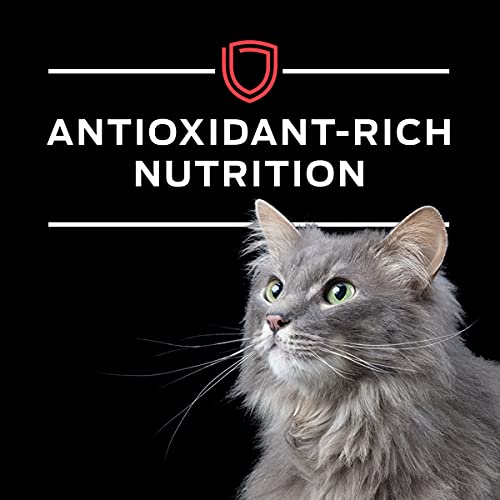 Purina Pro Plan Veterinary Diets DM Dietetic Management Feline Formula Dry Cat Food - 10 lb. Bag