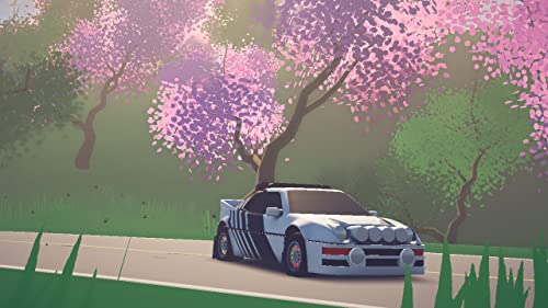 art of rally - Nintendo Switch