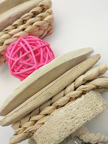 Hypeety Bird Parrot Cuttlebone Toy Bird Chew Toy Colorful Rattan Ball Toy Safe and Fun for African Grey, Amazon Conure Cockatoo Macaw Cockatiel