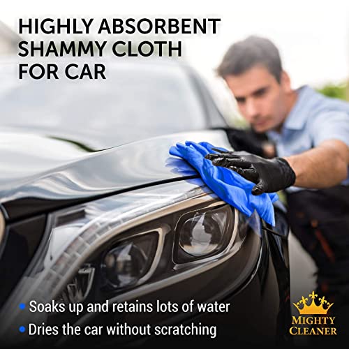 Premium Chamois Cloth for Car Drying - 26βx17β - Super Absorbent Reusable Shammy Towel for Car + Storage Tube - Scratch-Free Car Drying Shammy