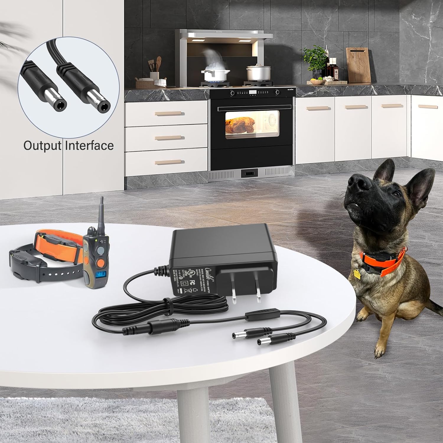 UpBright 10V AC/DC Adapter Compatible with Dogtra Super-X 3502NCP ARC 1900S 1902S EDGE 2300NCP 2500T&B 3500NCP Collar HK-AJ-100A150-US BC10V1500/5.5 SBC10V1500 5.5 SBC10V2000 5.5 BC10V2000/5.5 Charger