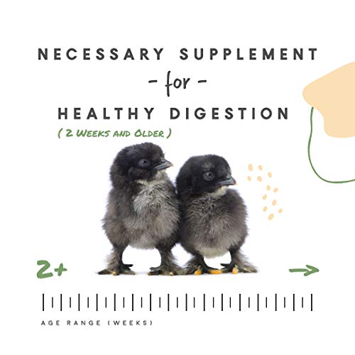 Manna Pro Chick Grit | Digestive Supplement for Young Poultry and Bantam Breed | Probiotics to Support Digestion | No Artificial Ingredients or Preservatives | Insoluble Crushed Granite | 5 Pounds