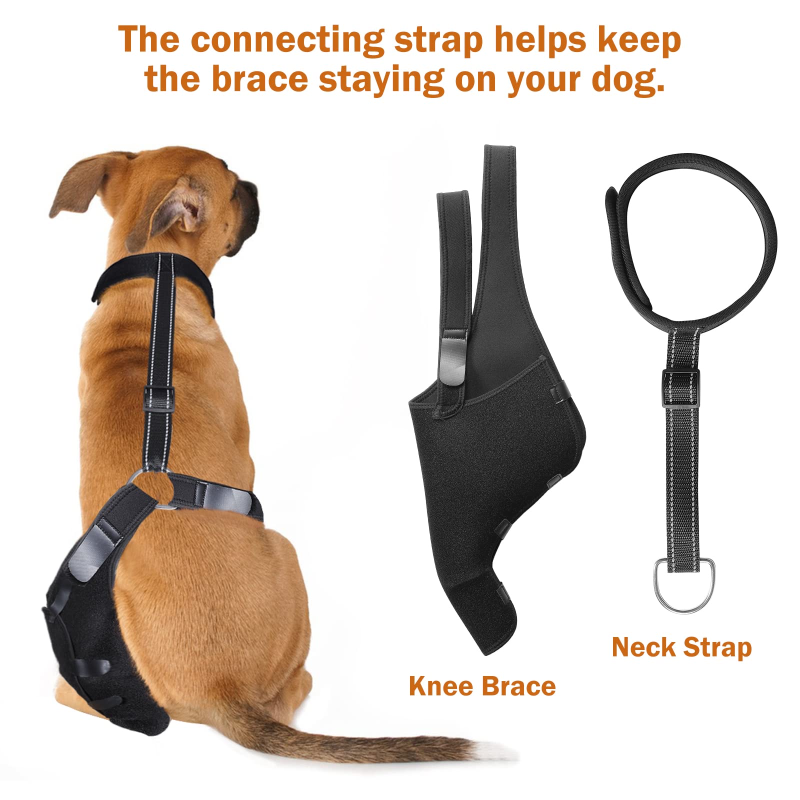 DGYAO Dog Knee Brace for ACL, Knee Cap Dislocation, Arthritis - Full Wrap - Easy Adjustable - Extra Support - Reduces Pain and Inflammation β Full Sizes