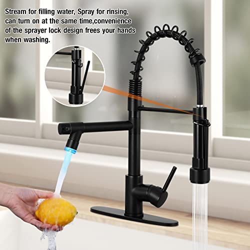 KZH Kitchen Sink Faucet with Pull Down Sprayer,Single Handle Two Spout Kitchen Faucets with LED Light,Matte Black,Stainless Stee