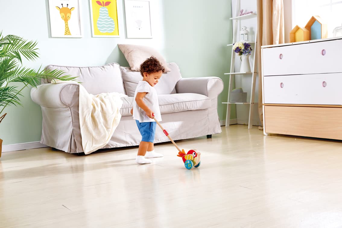 Hape Lilly Musical Push Along | Wooden Push Along Baby Walking Bird, Playful Kids Toy with Detachable Stick, Multicolor, 22.05 Inch (E0353)