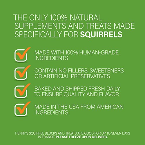 Henry's Healthy Blocks - Nutritionally Complete Food for Squirrels, Flying Squirrels, and Chipmunks, 11 Ounces