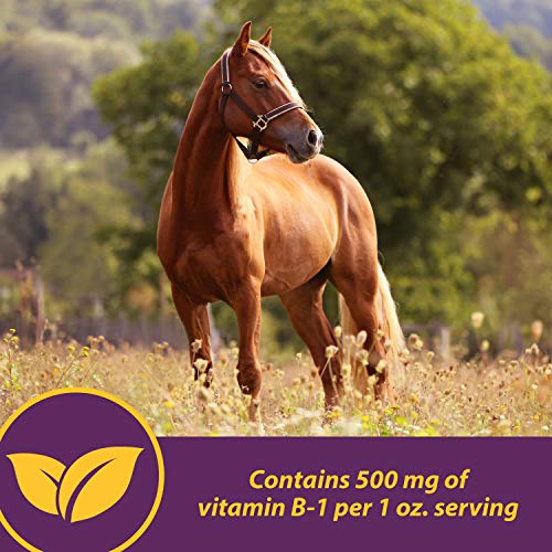 Horse Health Vita B-1 Crumbles Supplement for Horses, Supports optimal muscle activity and metabolism for performance, 20 pounds, 320 day supply