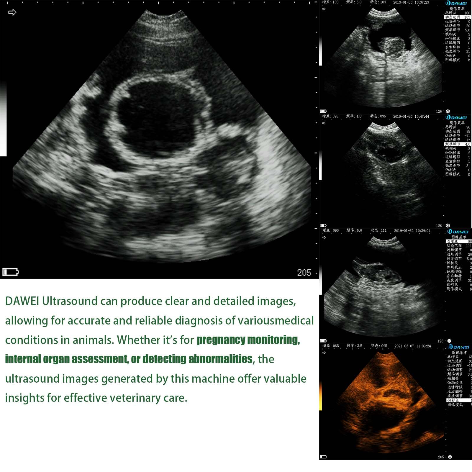 Dawei Vet Ultrasound Machine Portable Veterinary Handheld Scanner B-Ultra Sound with 3.5MHz Probe for pregnancy Pig,Sheep,dog,cat use