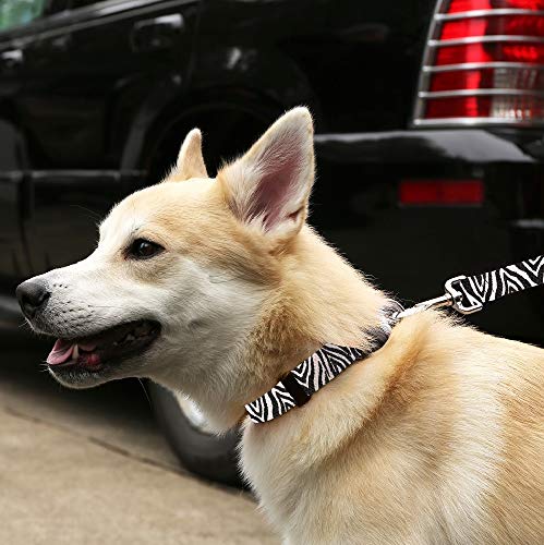 Moose Pet Wear Deluxe Dog Leash - Patterned Heavy Duty Pet Leashes, Made in the USA โ 3/4 Inch x 6 Feet, Zebra
