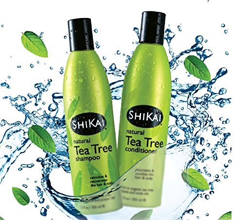 ShiKai - Natural Tea Tree Oil Conditioner, Made With Essential Oils Of Peppermint & Tea Tree To Refresh & Stimulate Hair & Scalp, Soap-Free Alternative (12 Ounces, Pack of 2)
