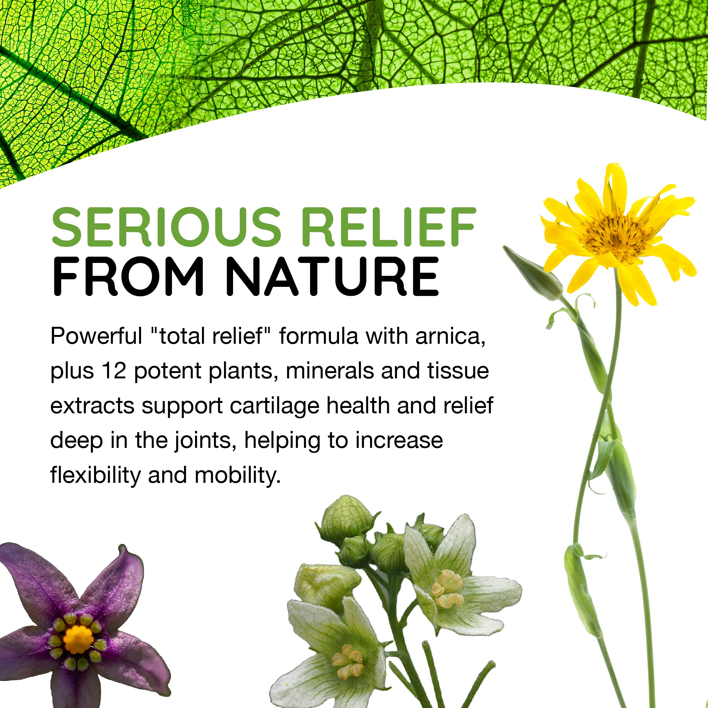 T-Relief Arthritis Arnica +12 Pain Relieving Natural Medicines Help Reduce Soreness Stiffness Aches & Pains in Joints Naturally - 100 Tablets (2 Pack)