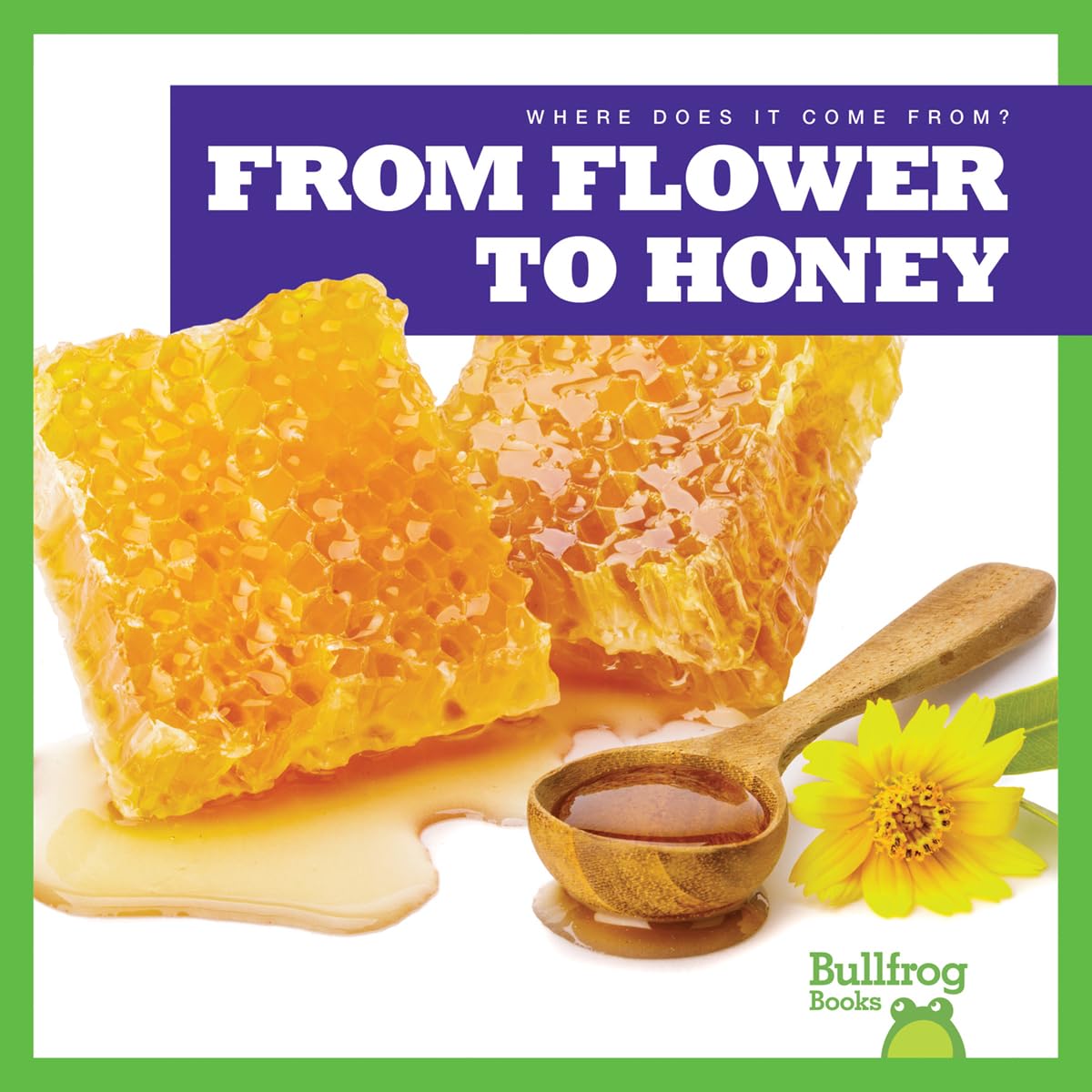 From Flower to Honey (Bullfrog Books: Where Does It Come From?)