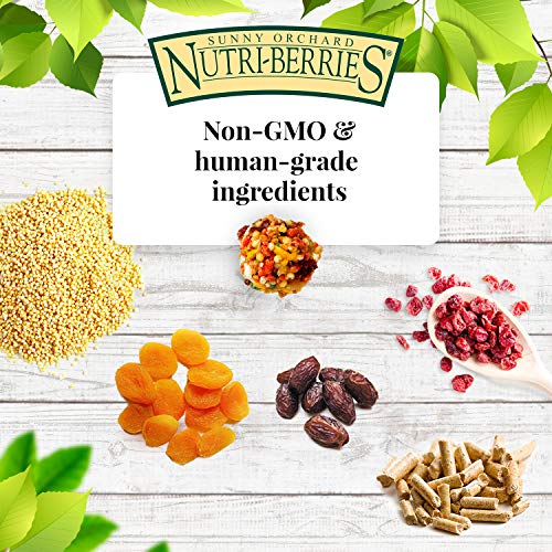LAFEBER'S Sunny Orchard Nutri-Berries Pet Bird Food, Made with Non-GMO and Human-Grade Ingredients, for Parrots, 20 lb