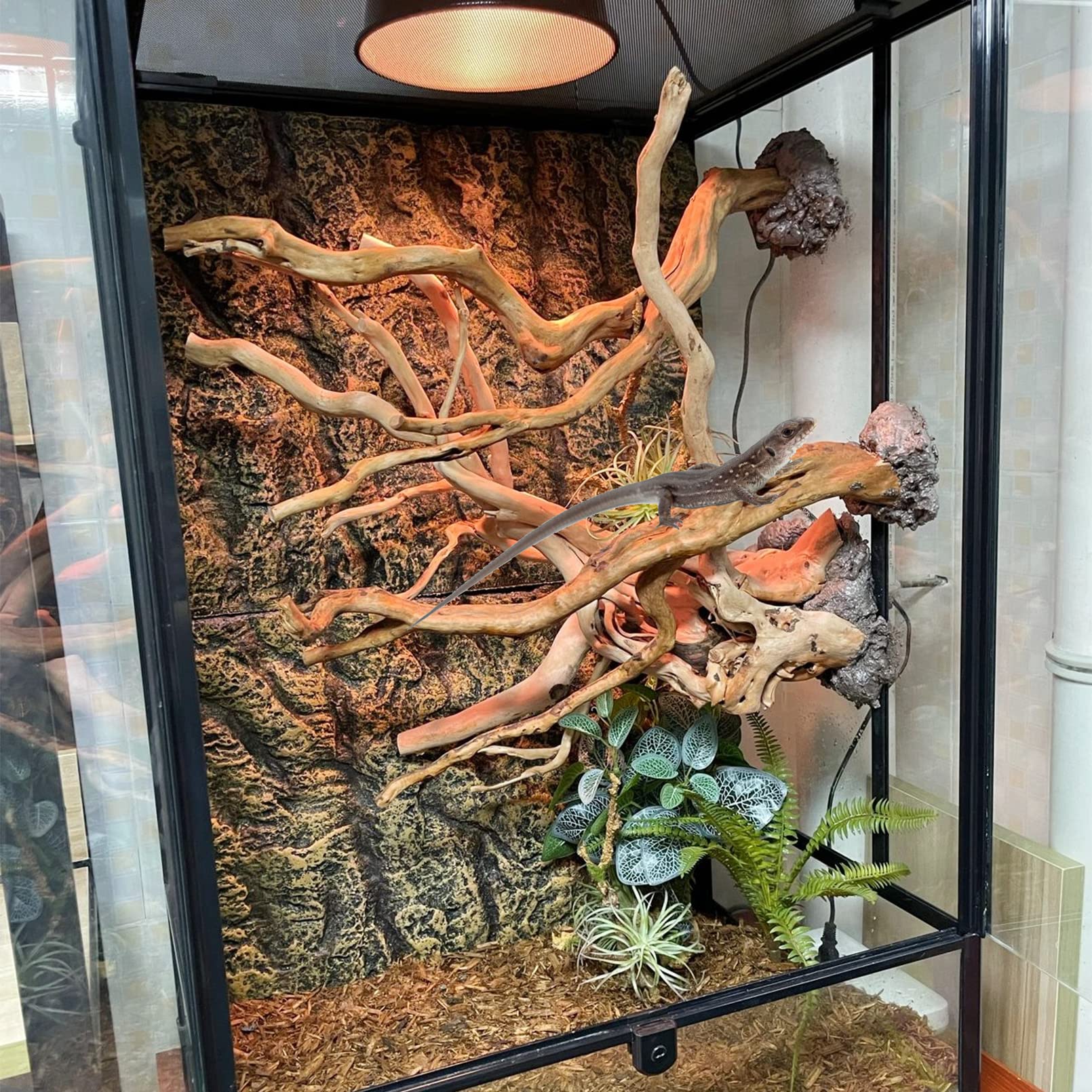 BNOSDM 2PCS Reptile Wood Branches Decor Lizard Habitat Decoration Snake Climbing Branch Accessories Terrarium Tree Trunk Ornament for Bearded Dragon Gecko Frog Chameleon Spider