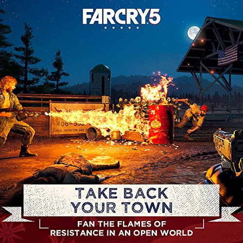 Far Cry 5 - PlayStation 4 Standard Edition