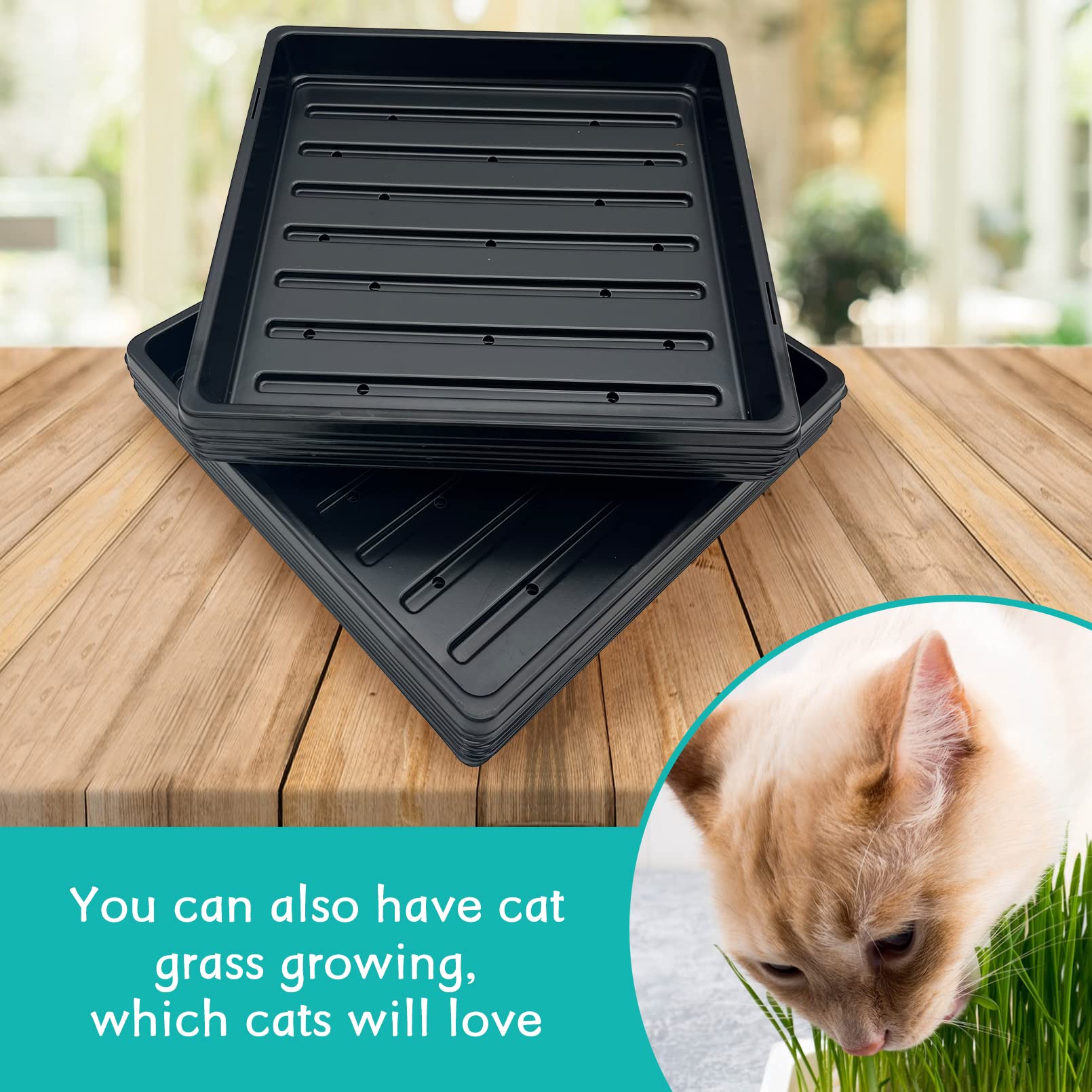 Apatal 1010 Seed Starting Trays, 12 Pack Garden Growing Trays with Drain Holes Reusable Microgreens Seed Plastic Tray Plant Germination Tray