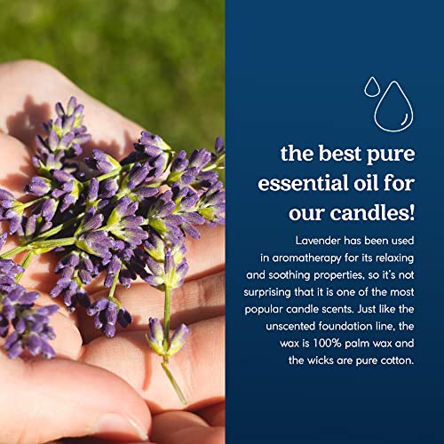 Paraffin-Free Scented Candle, Tin Candles, Birthday Gifts for Women & Men, 30-Hour Burn Time (Lavender, 6 oz)