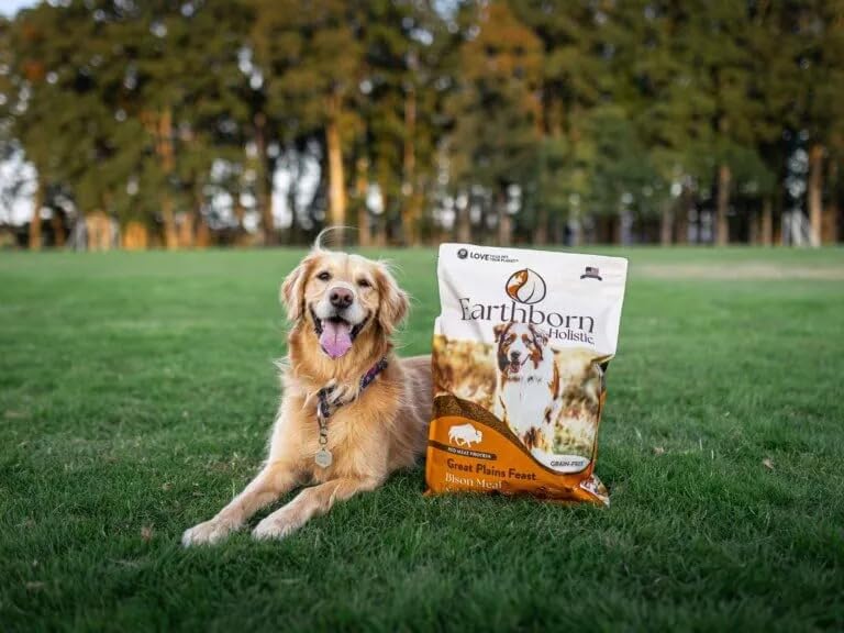 Earthborn Holistic Great Plains Feast Grain-Free Natural Dry Dog Food, 12.5 lb