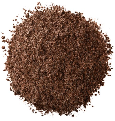 L'Oréal Paris Infallible 24HR Shadow, Bottomless Java, 0.12 oz.