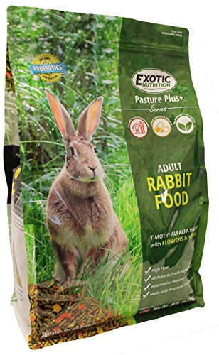 Pasture Plus+ Adult Rabbit Food (10 lb.) - Nutritionally Complete Healthy Natural Pellet Diet - for Adult Rabbits 12 Months & Older
