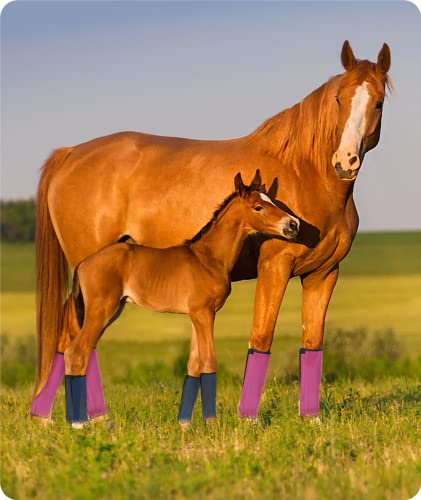 Fly Boots for Horse Leggins,Horse Fly Boots,Horse Leg Protection Set of 4(Pony/Donkey,Blue)