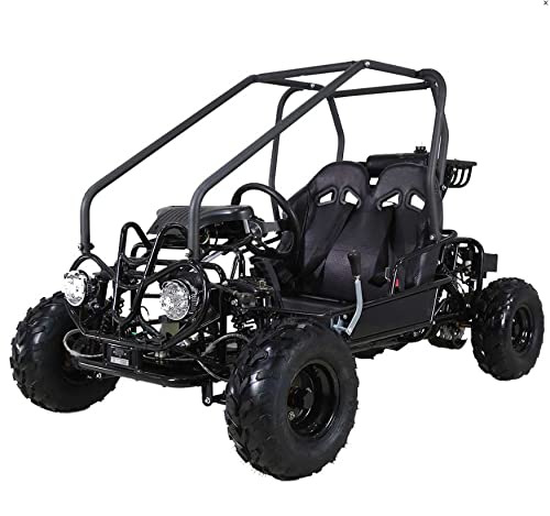HHH Gokart GK125 is a125CC Gokart Fully Automatic Gas 2 Seater Kandi Mini Raptor gokart with Reverse for Youth (Blue)