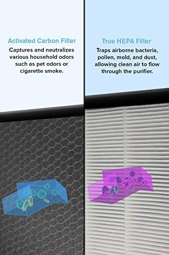Merchandise Mecca Premium 2 HEPA Filter with 8 Activated Carbon Pre Filters Compatible with Fellowes AeraMax Air Purifier 90, 100, 90/100, DX5 & DB5 9287001 9324001
