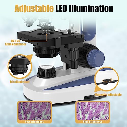EDKKIE 40X-2500X Lab Compound Trinocular Microscope Built-in 5MP Camera with 7ββ Screen, Wide-Field 10X and 25X Eyepieces, Dual Illumination System, Double Layer Mechanical Stage