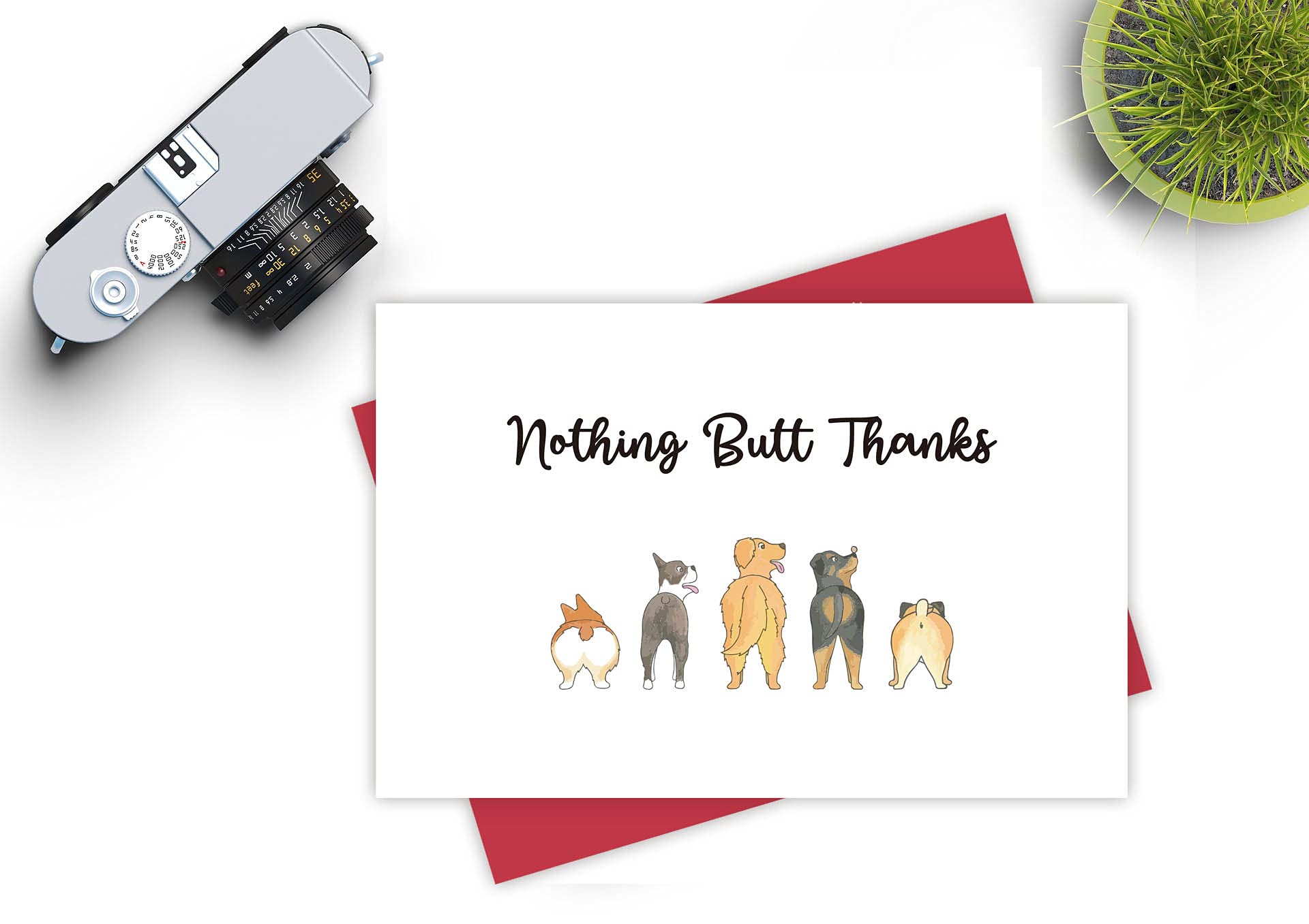 Kirynurd Nothing Butt Thanks, Cute Funny Thank You Card, Thanks Card for Anyone, Thanksgiving Day Card