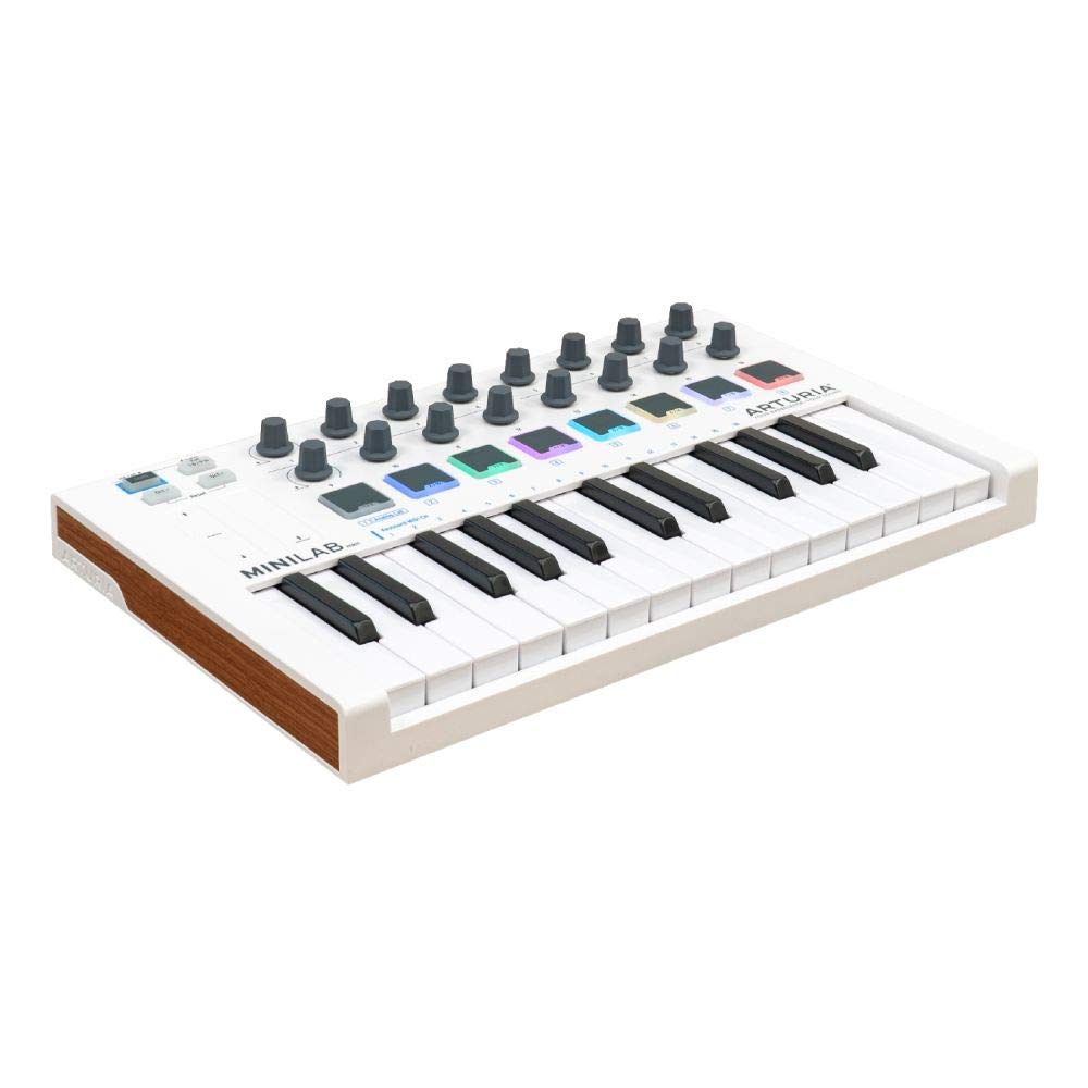 Arturia MiniLab MKII MIDI Controller Keyboard, USB Condenser Microphone with Stand, & USB Cable BUNDLE- 25 Key Portable Keyboard Piano for Mac PC, Recording Studio Equipment, Software Included (WHITE)