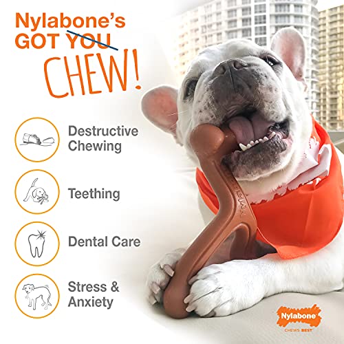 Nylabone Dura Chew Power Chew Textured Bone Flavor Medley Small/Regular (1 Count)