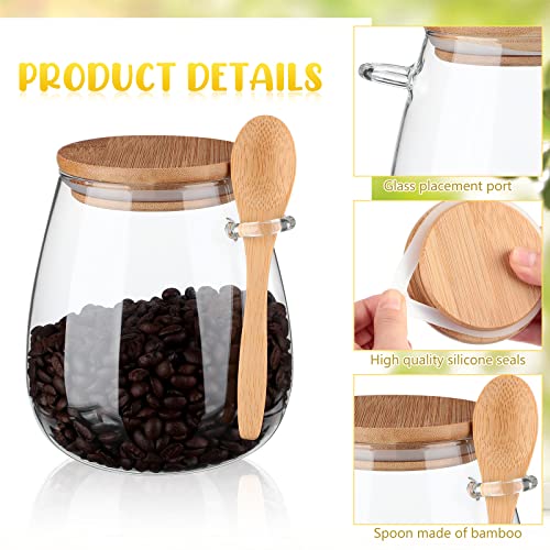 Hoolerry Set of 2 Airtight Glass Jars with Bamboo Lids and Spoons 34 oz Borosilicate Glass Canisters Overnight Oats Jar Storage Container for Kitchen Coffee Bean Tea Leaves Flour Sugar