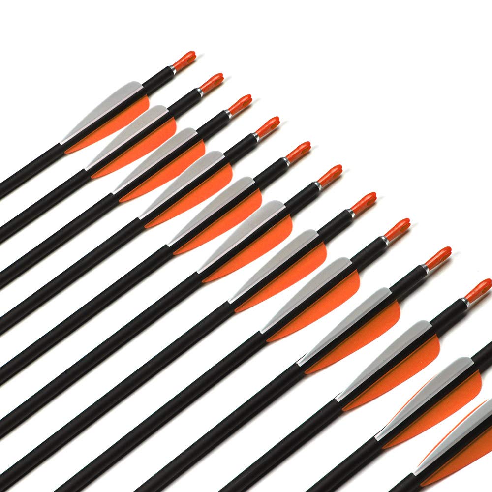 ANTISR 30" Carbon Arrows OD.275 with Interpolated Tips and Anti-Nail Nock for Compound & Recurve Bow(Pack of 12)