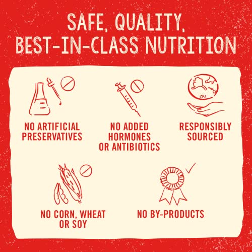Stella & Chewy’s Freeze Dried Raw Dandy Lamb Meal Mixer – Dog Food Topper for Small & Large Breeds – Grain Free, Protein Rich Recipe – 3.5 oz Bag