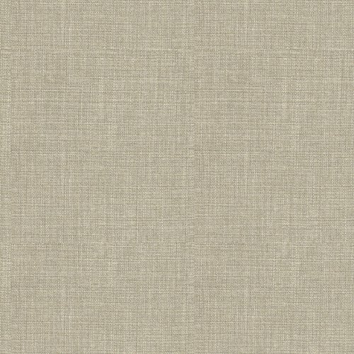 Homepop Home Decor | Classic Upholstered Parsons Dining Chairs | Set of 2 Accent Dining Chairs with Nailhead Trim, Natural Linen