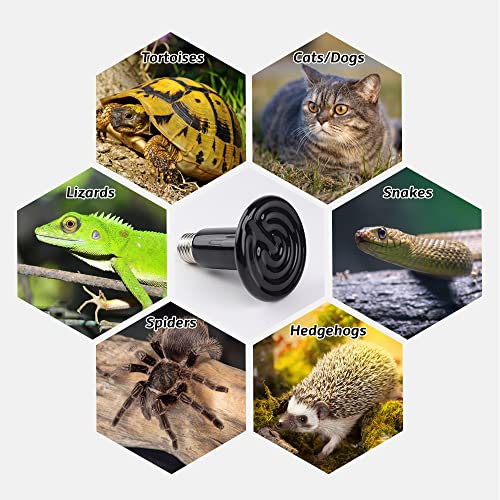 HOSITARK Terrarium Heat Lamp for Reptile, Reptile Heat Light for Bearded Dragon, 75W Ceramic Heater Emitter for Chameleon, Chicks, 2 Pack