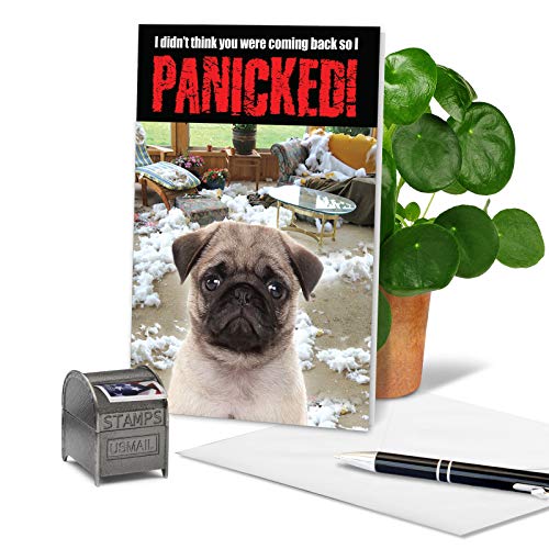NobleWorks - 1 Cute Birthday Card with Envelope - Funny Wild Animals and Pets, Birthday Greeting - Dog Panicked C2233BDG