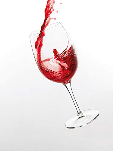 Luigi Bormioli Aero 11 oz White Wine Glasses, Set of 6, Clear