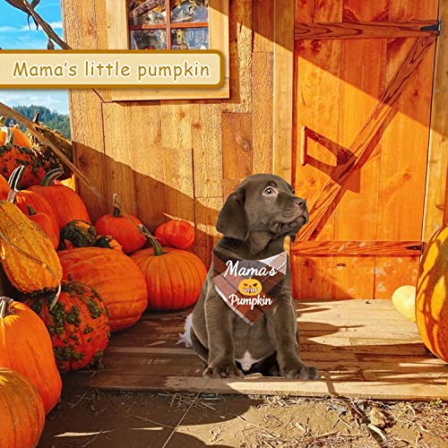 Fall Dog Bandana - Set of Washable Reversible Square Plaid Pet Kerchief Scarf for Halloween(Large)