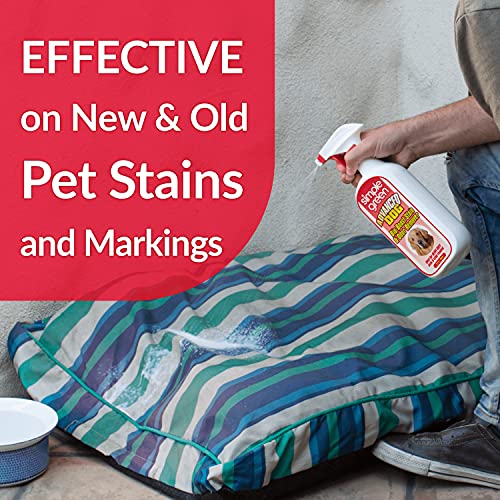Simple Green Advanced Dog Stain & Odor Remover - Bacteria & Enzyme Cleaner for Large Dogs - Stain Remover for Carpet & Fabric β eliminates Urine Odor (32 oz Sprayer)