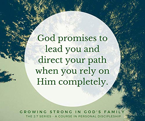 Growing Strong in God's Family: Rooted and Built Up in Him (The 2:7 Series)