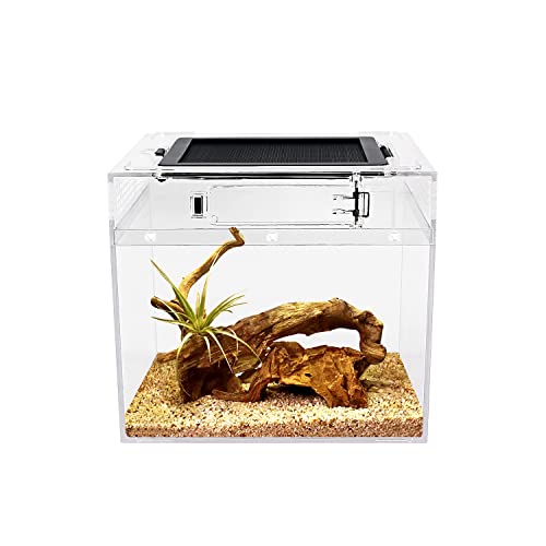 Reptile Growth Mini Reptile Terrarium,8" x 8"x 8" Reptile Tank with Full View Visually Appealing,for Insect,Fish,Tarantula,Hermit Crab,Jumping Spider,Iguana,Tortoise,Leopard Gecko,Frog,Bearded Dragon