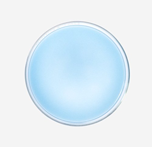 Living Systems Instrumentation DD-90-S-LTBLU Large Dissection Petri Dish, Light Blue, 93 mm D x 22 mm H