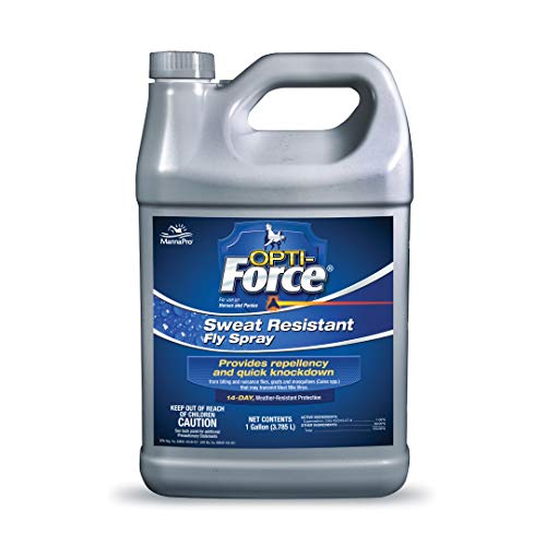 Manna Pro Opti-Force Fly Spray | Sweat Resistant for Horses and Ponies | Provides Repellency and Quick Knockdown from Biting and Nuisance Flies | 1 Gallon