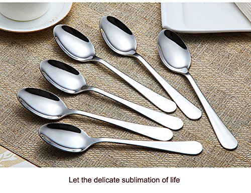 Stainless Steel Dinner Spoon (Set of 6)7.1 Inches, Silver