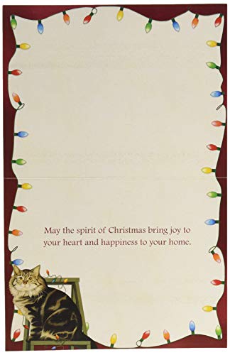 LANG Stringing Lights Boxed Christmas Cards, 18 Cards & 19 Envelopes, Full-Color Artwork Inside and Out, Fully Designed Envelopes, Linen-Embossed Paper Stock (1004833)